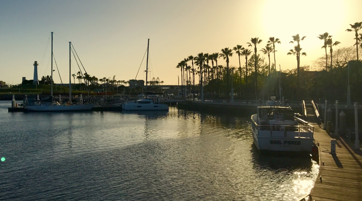 2023 Best Tech Startups in Long Beach - The Tech Tribune
