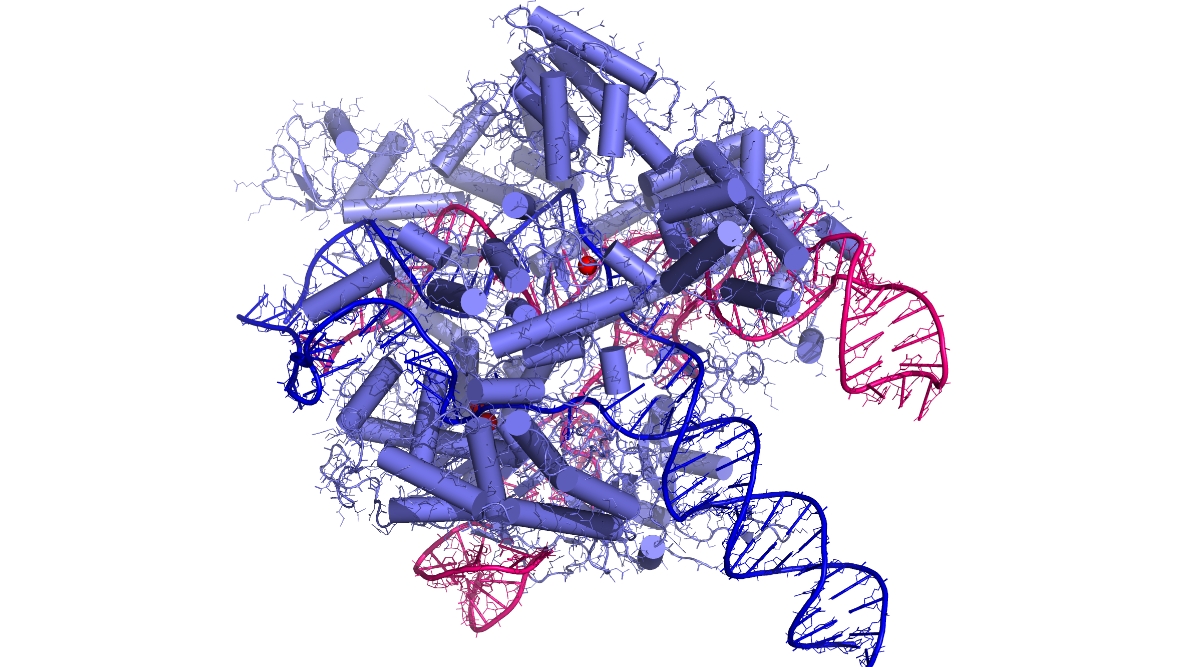 Fda Approves Crispr Treatment For Sickle Cell The Tech Tribune 1243