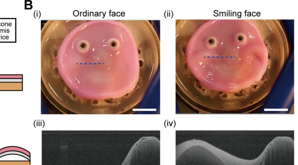 Engineered Skin Tissue Successfully Bound to Humanoid Robots - The Tech ...