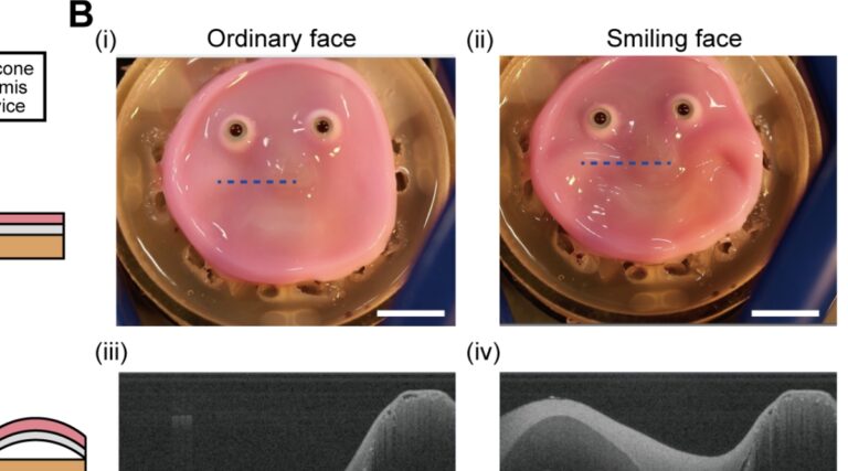 Engineered Skin Tissue Successfully Bound to Humanoid Robots - The Tech ...